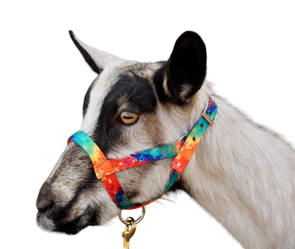 Donkey, Alpaca, Goat, Horse & Livestock Halters. Made in USA! – Halter All
