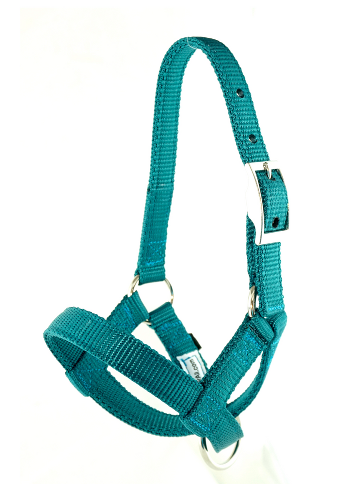 Donkey, Alpaca, Goat, Horse & Livestock Halters. Made in USA! – Halter All