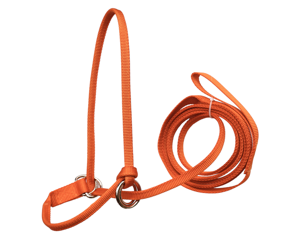 Versatile Donkey Halter & Lead Combo – Halter All